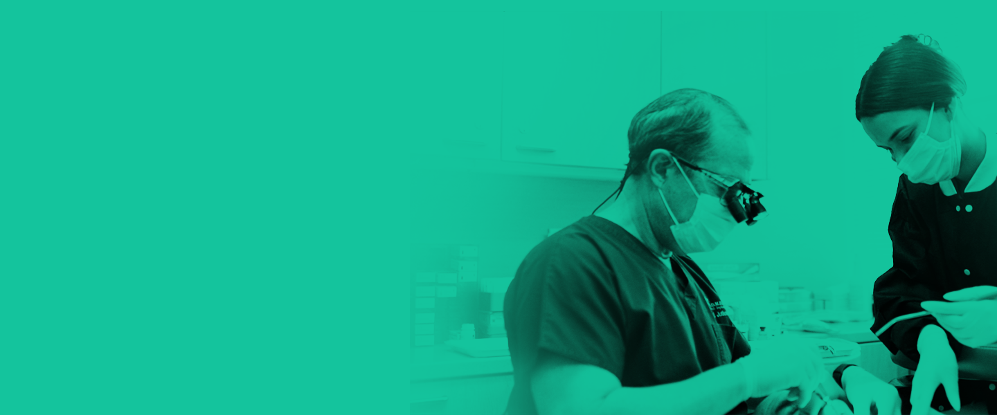 Graduate Doctor Mentorship Program | Career Opportunities at Dental Care Alliance